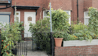 How to Design Your Own Container Garden | Chelsea Green Publishing