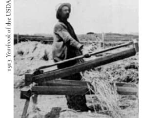 Hemp History 101 | Chelsea Green Publishing