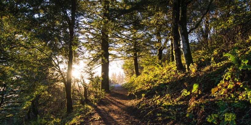 Finding Small Silences: The Power and Magic