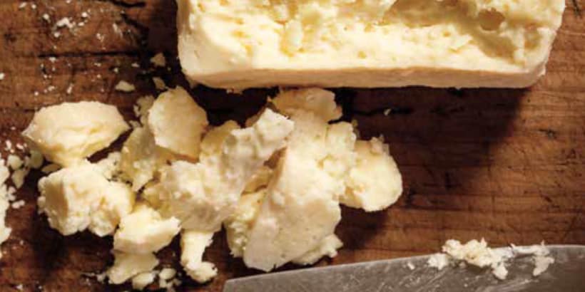 Blog and Articles - Chelsea Green Publishing