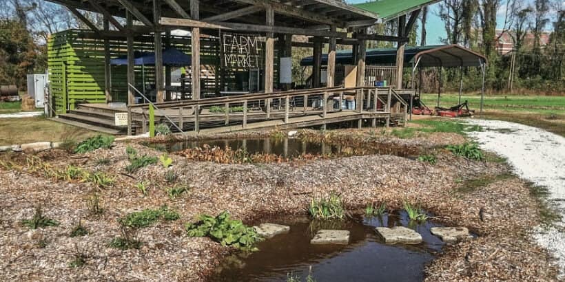 How to Design Swales for Optimum Water Flow | Chelsea Green Publishing