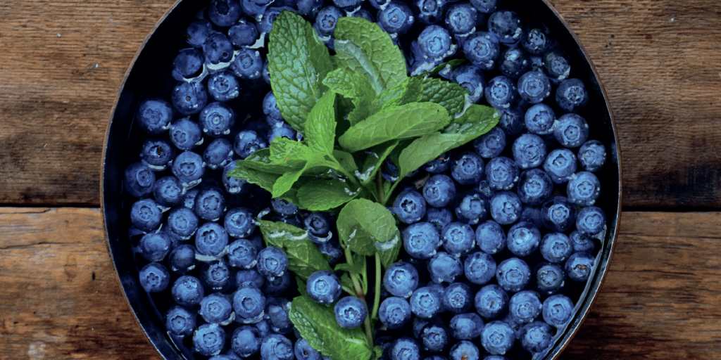 End of Summer Fruit Kvass : Fruity Ferments