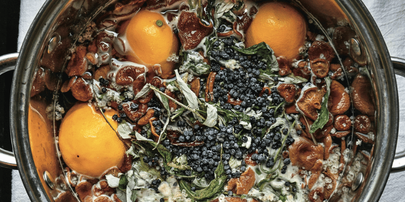 Candy Cap Mushroom Beer: Brewing Wild Beers