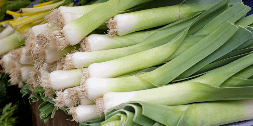 The Search for A Welsh Leek | Chelsea Green Publishing