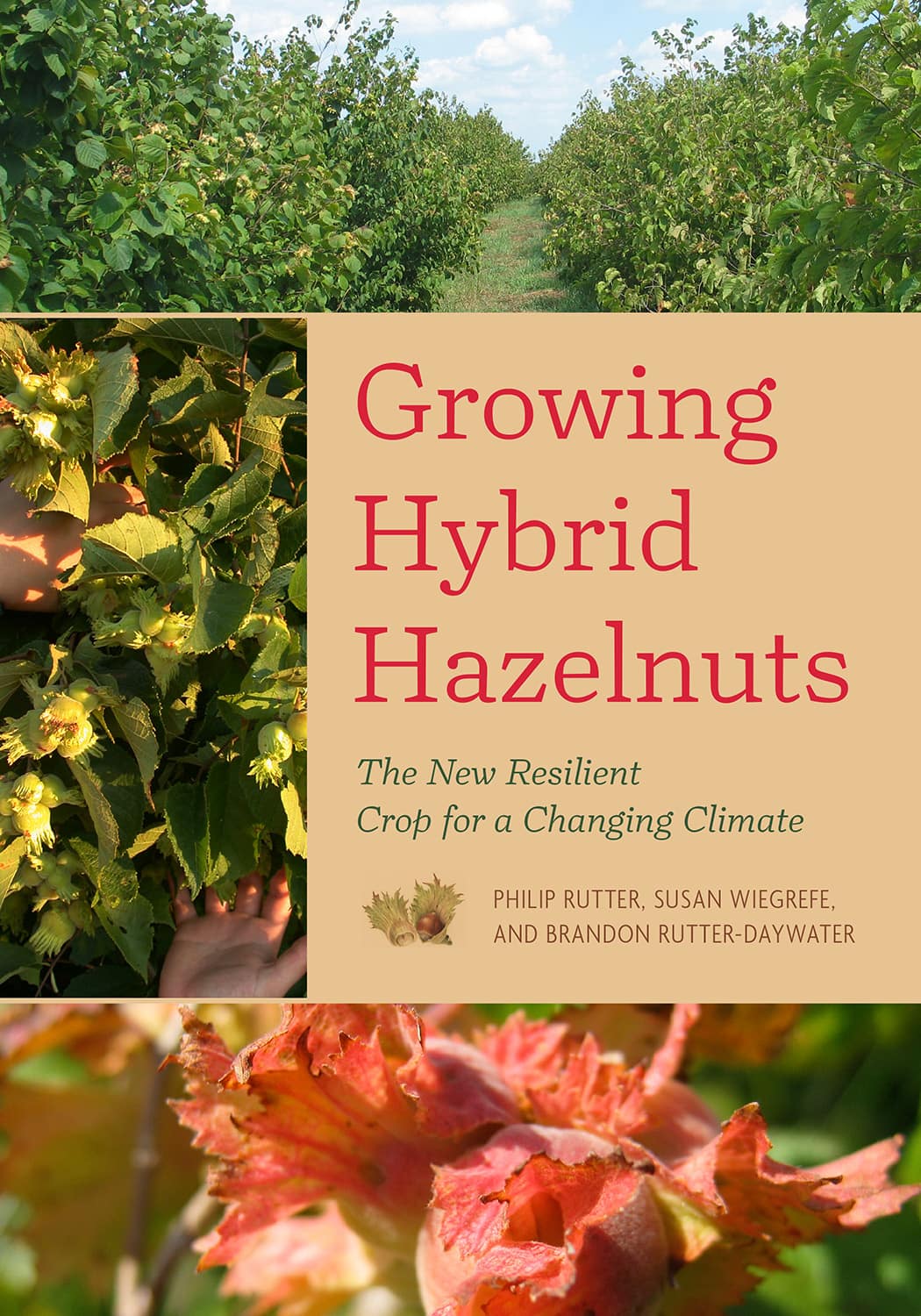 Growing Hybrid Hazelnuts | Chelsea Green Publishing