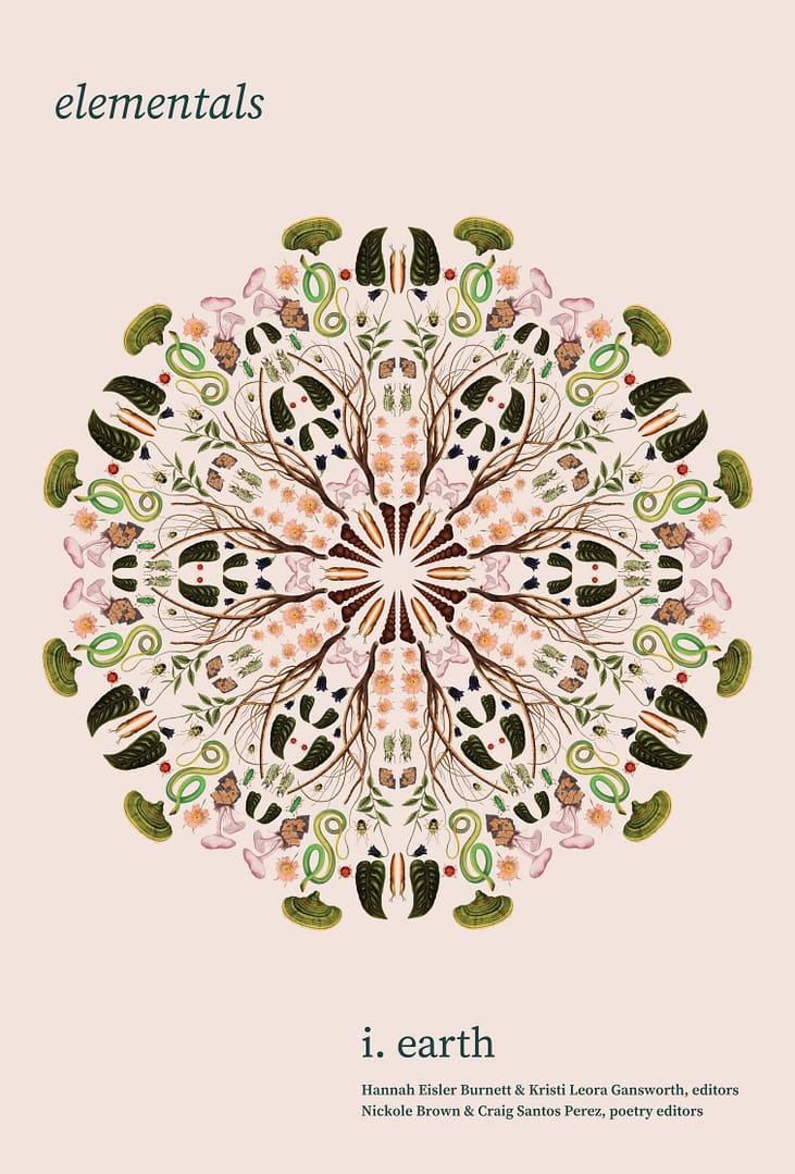 Elementals: Earth, Vol. 1 | Chelsea Green Publishing