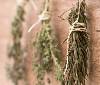 Tips & Tricks for Harvesting and Drying Herbs