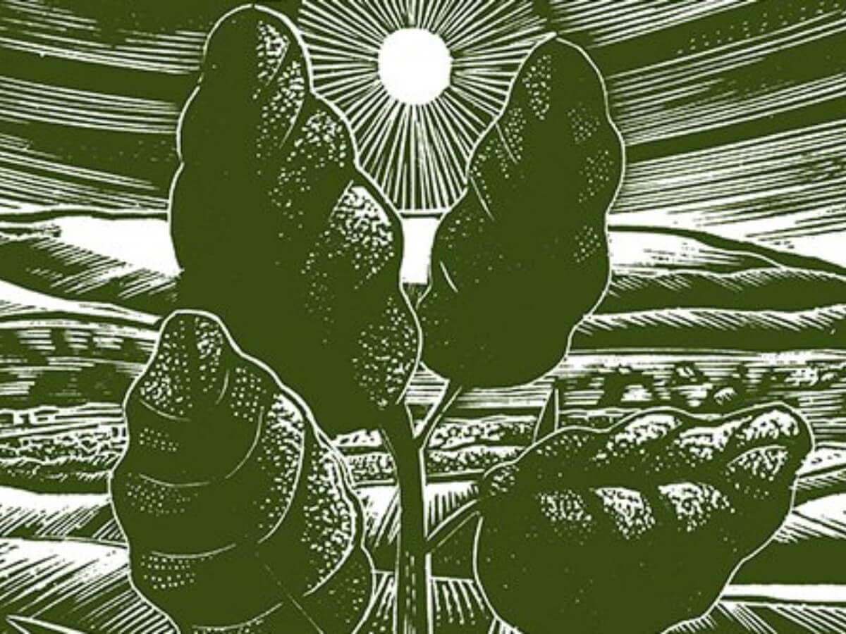 Shop Our Books - Chelsea Green Publishing