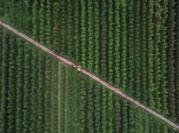 Why Farm Infrastructure is Important: More Than Land