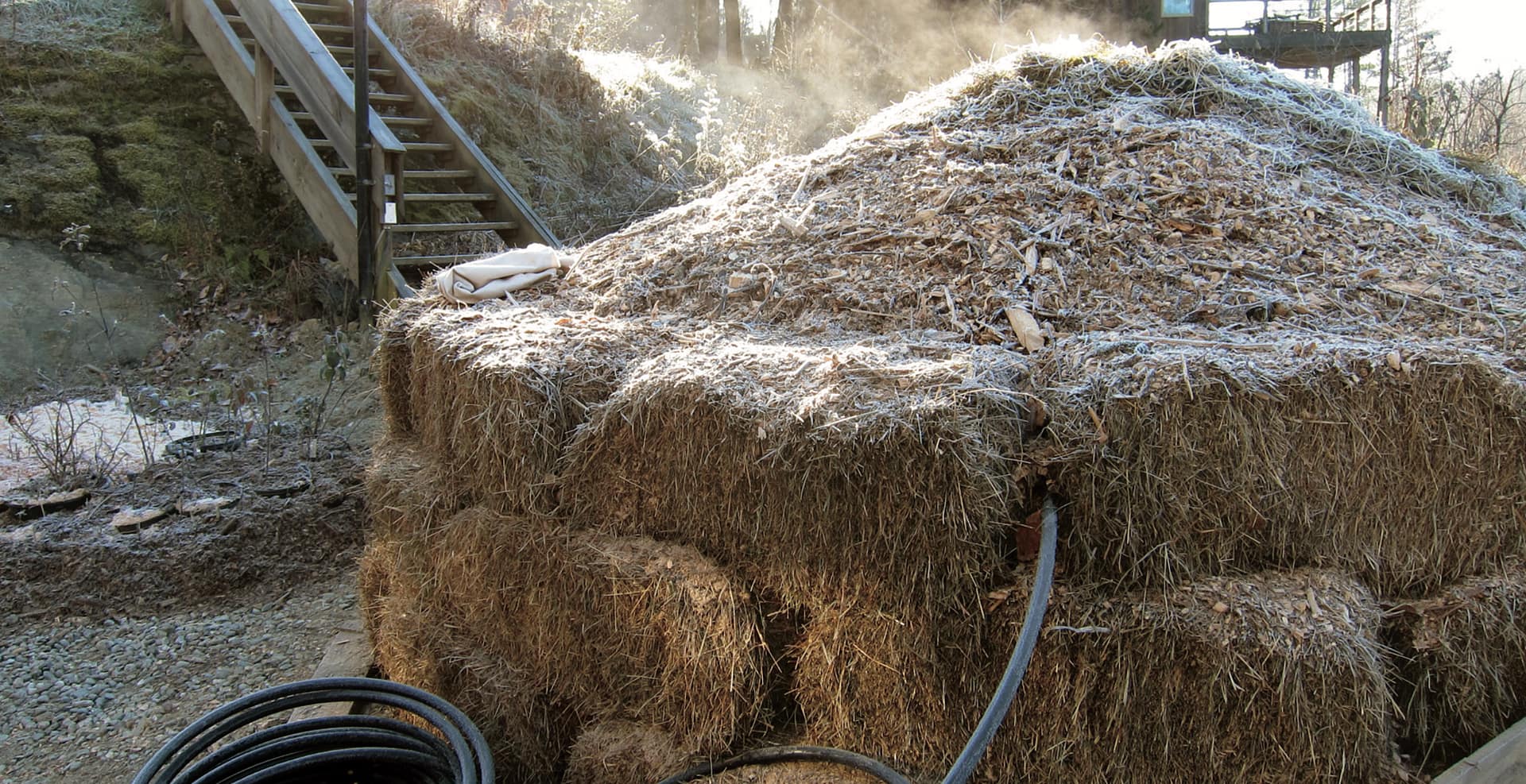 The Importance of Nutrient Cycling | Chelsea Green Publishing