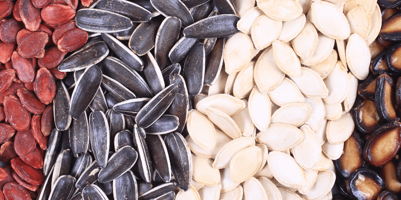 Keeping Seeds Organized: Saving & Storing