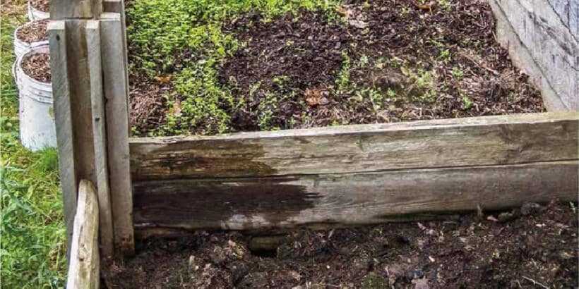 Blog and Articles - Chelsea Green Publishing