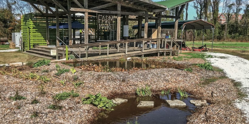 How to Design Swales for Optimum Water Flow | Chelsea Green Publishing