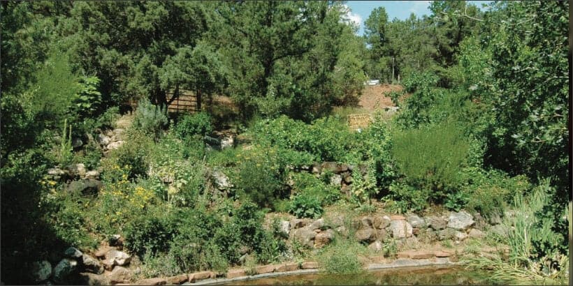 The Seven-Layer Forest Garden:Designing A Food Forest